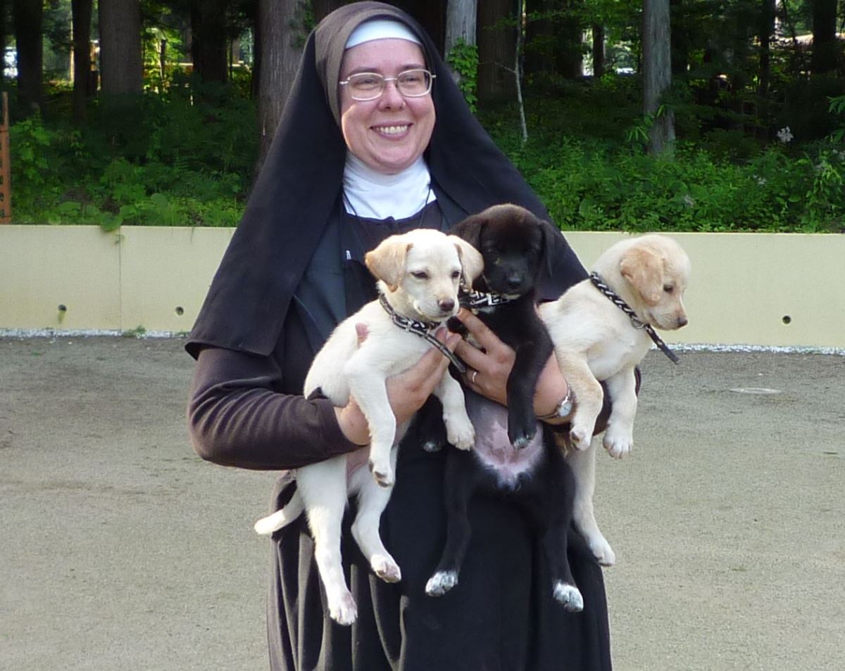 Brief Note on Dogs and Those At The Table, in Matthew and the Zohar ...