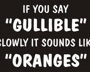 Gullible and stubborn… – Blogging Theology
